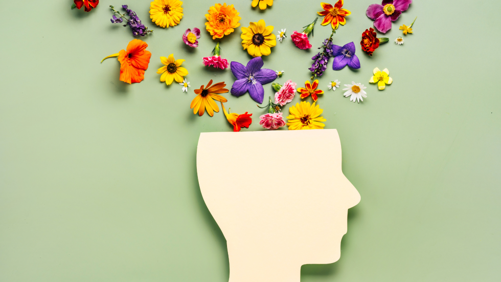 Le Béhaviorisme : Une Révolution Psychologique Incontournable